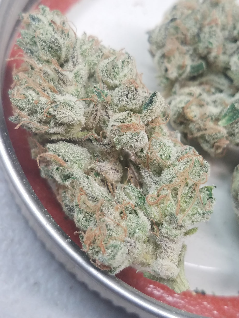 Choka Cola (G-funk Rootbeer x i95 f1) – Skunktek Cuts
